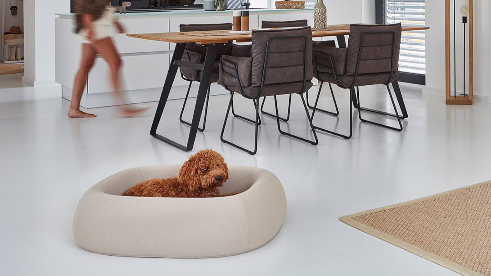 The Top 7 Stylish And Sustainable Dog Beds For Modern Homes Shooby B